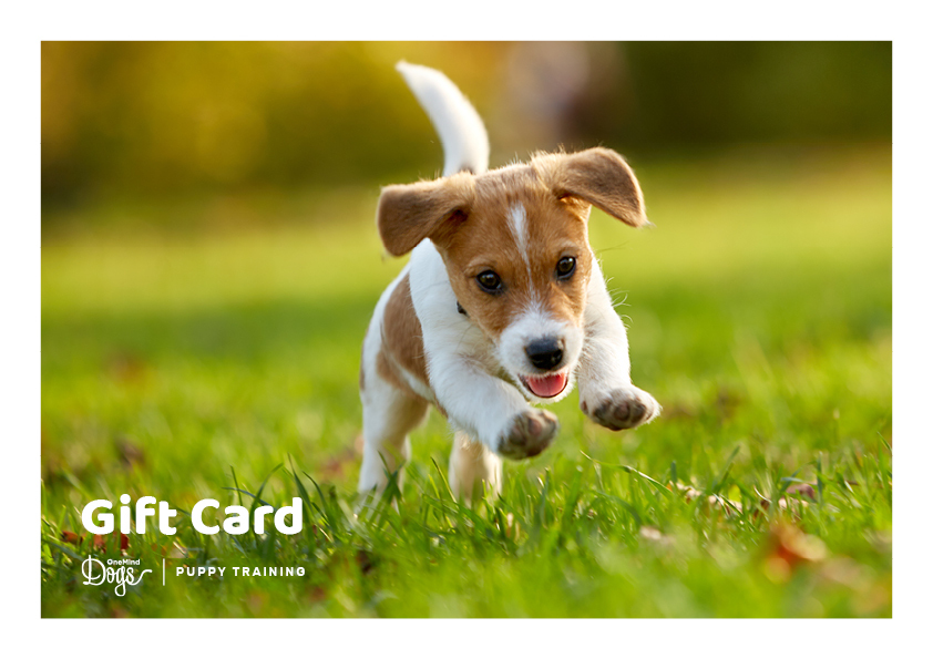 Gift Card - OneMind Dogs
